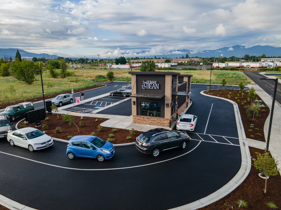 Timeline – The Human Bean